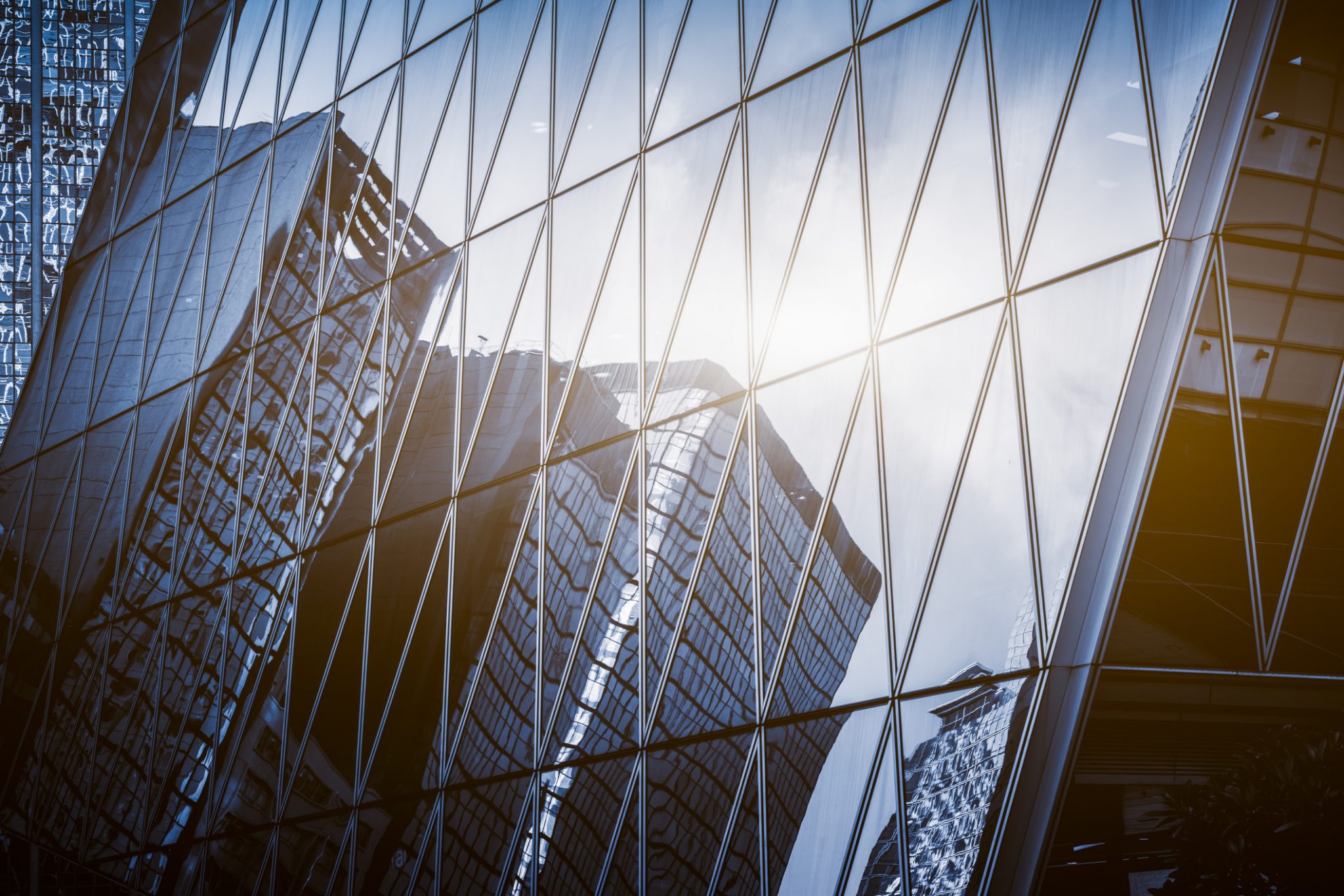Q4 2019 Financials | Partners Bank of California